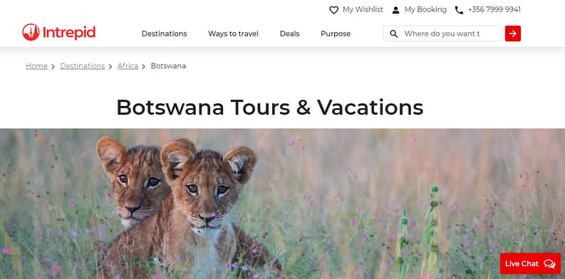 How to Craft a Solid Website Structure: A Beginner's Guide