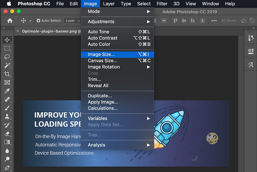 How to Serve Scaled Images on Your WordPress Website