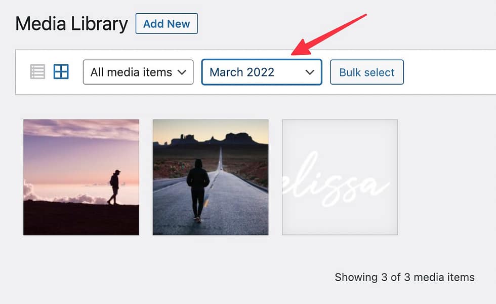 Organize Your Media Library by Adding WordPress Media Folders