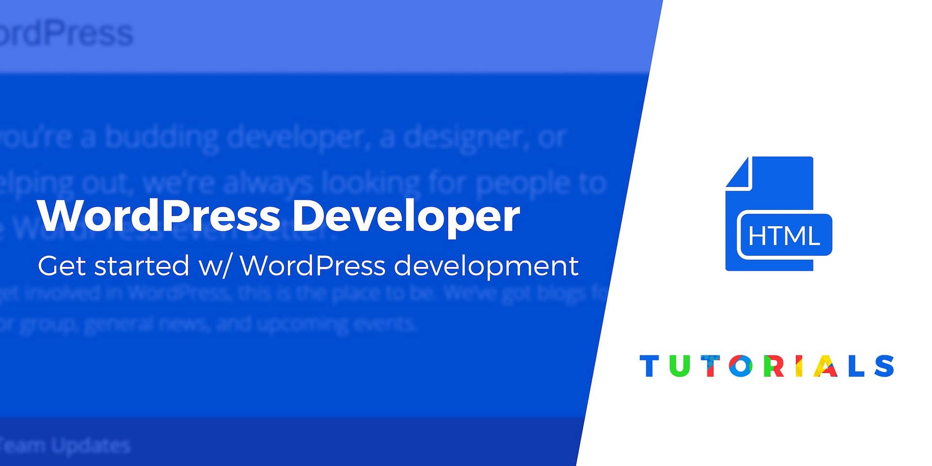 How to Become a WordPress Developer: Tips to Get You Started