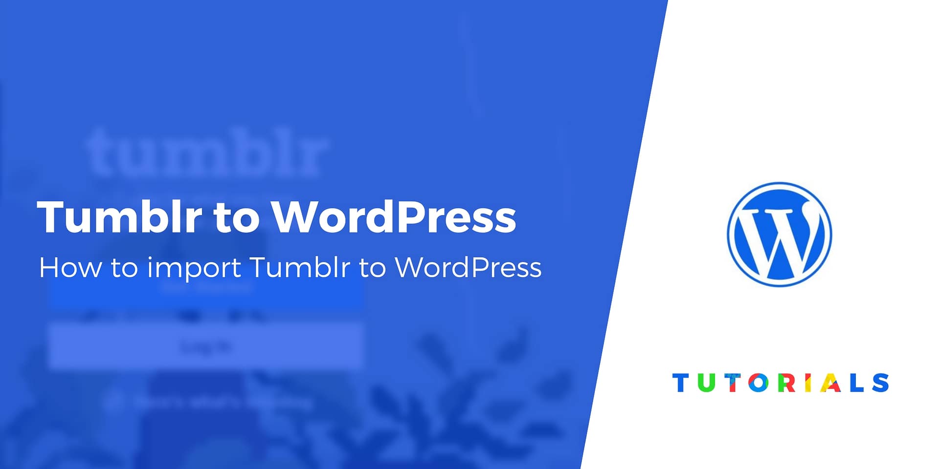 How to Import Tumblr to WordPress in 5 Easy Steps