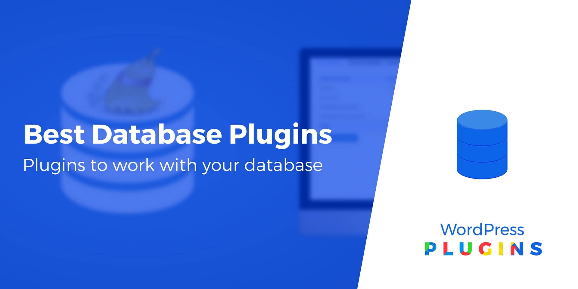 WordPress Database Plugin: 6 Options for Cleaning and Development