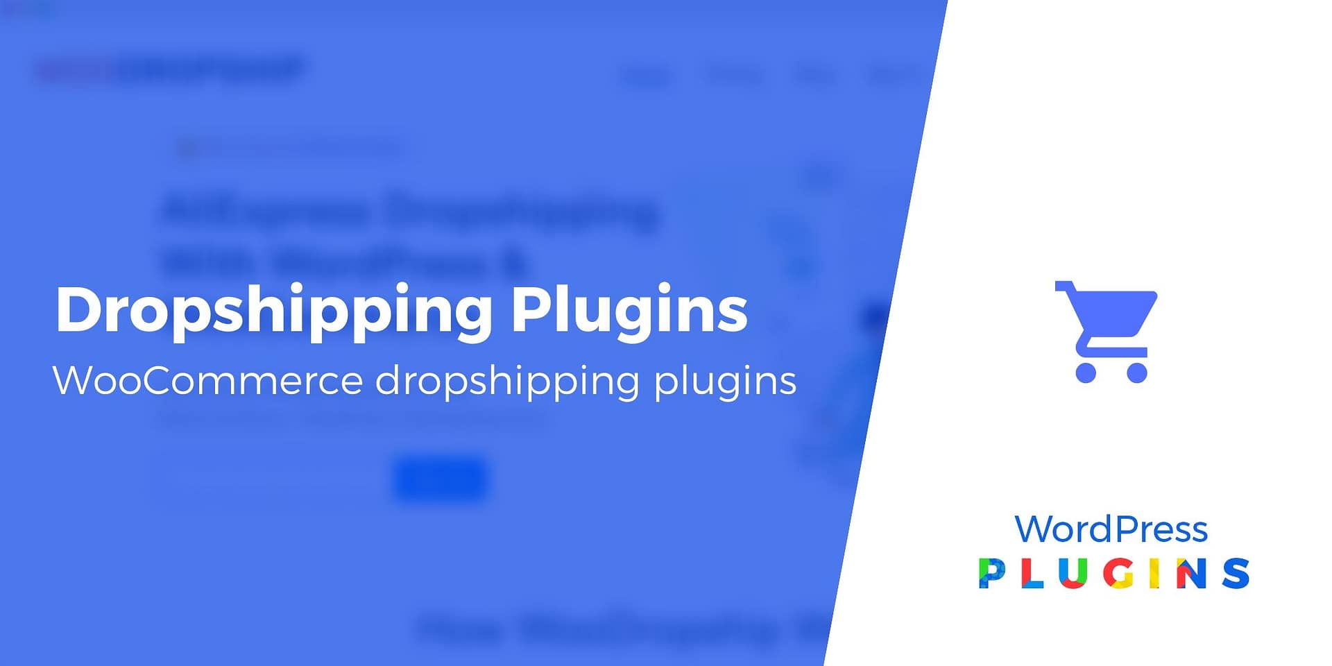5 Best WooCommerce Dropshipping Plugins for AliExpress + More