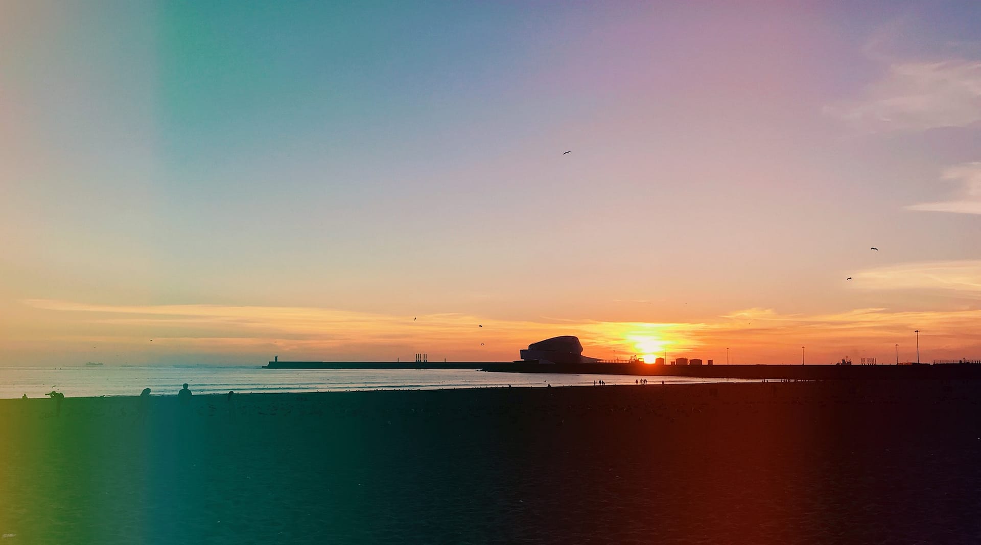 Cloudinary vs imgix vs ImageKit vs Optimole: Which Is Best?