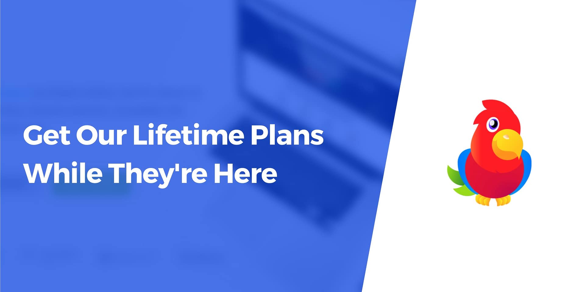 We're Ending Our Lifetime Subscription Plans - Last Call to Get Them!