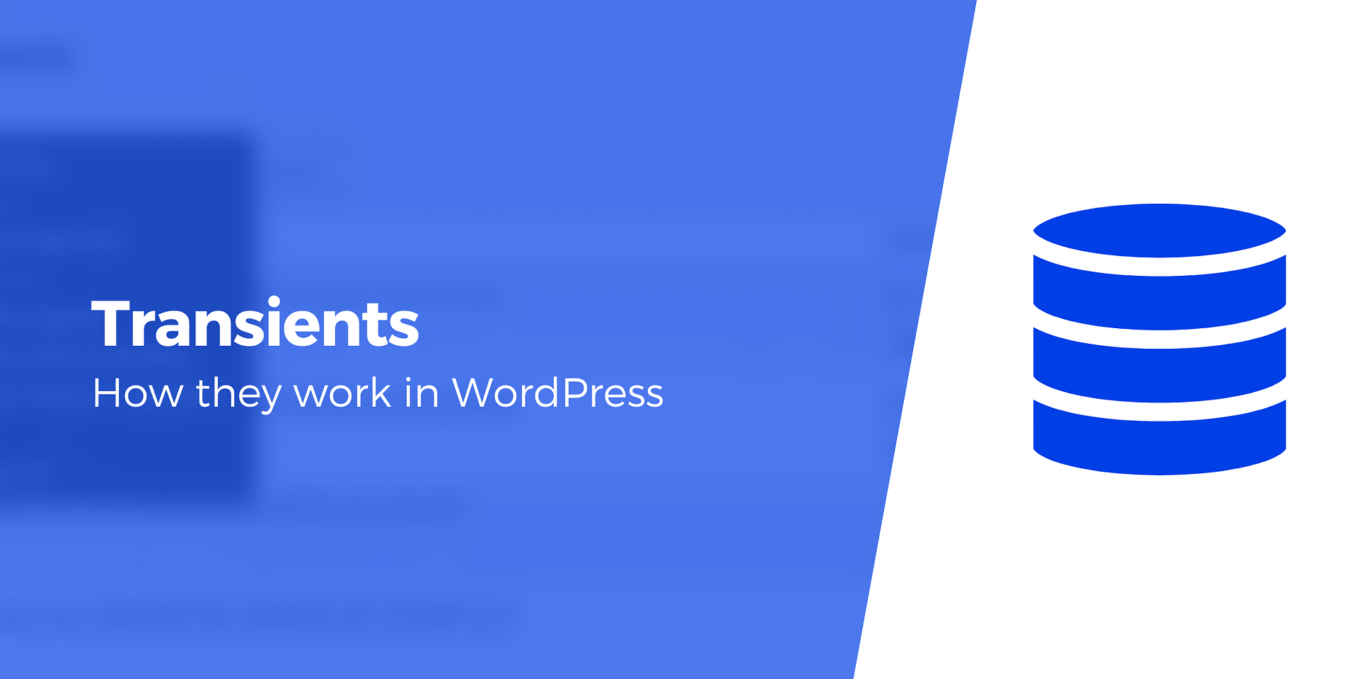 A Guide to WordPress Transients: What You Need to Know