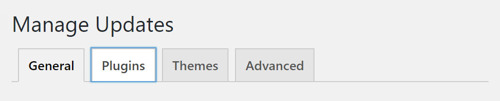 How to Update WordPress Automatically: Use This Handy Plugin