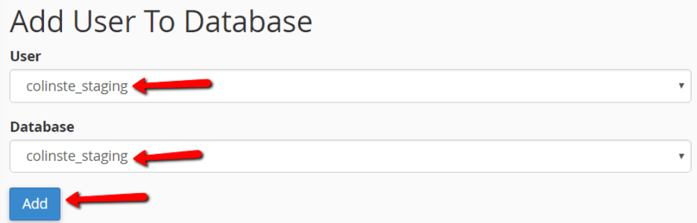 Beginner's Guide: How to Set Up a WordPress Staging Site