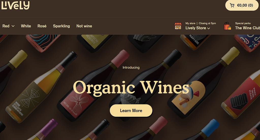 20+ Best and Nicest Shopify Themes: Convert Visitors Into Buyers