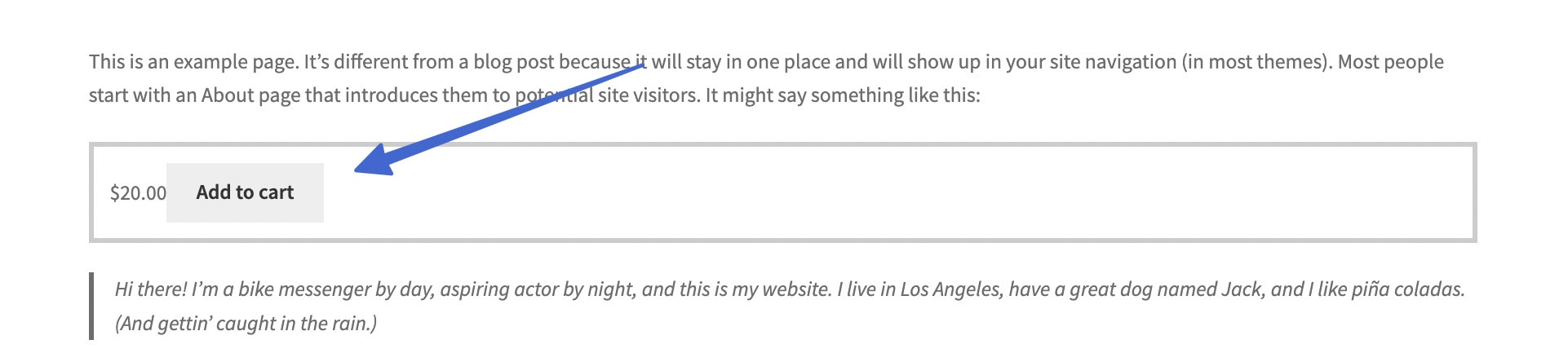 WooCommerce Shortcode 101: Everything You Need to Know
