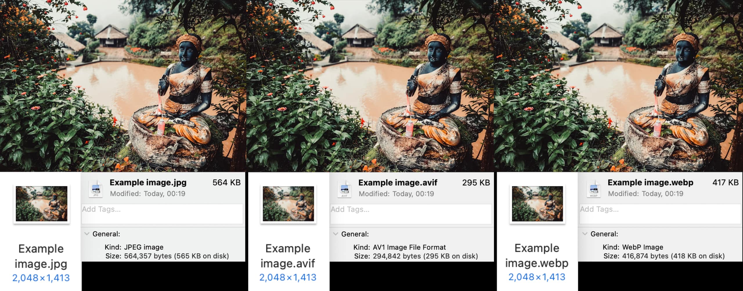 AVIF vs WebP: Which Image Format Reigns Supreme in 2024?