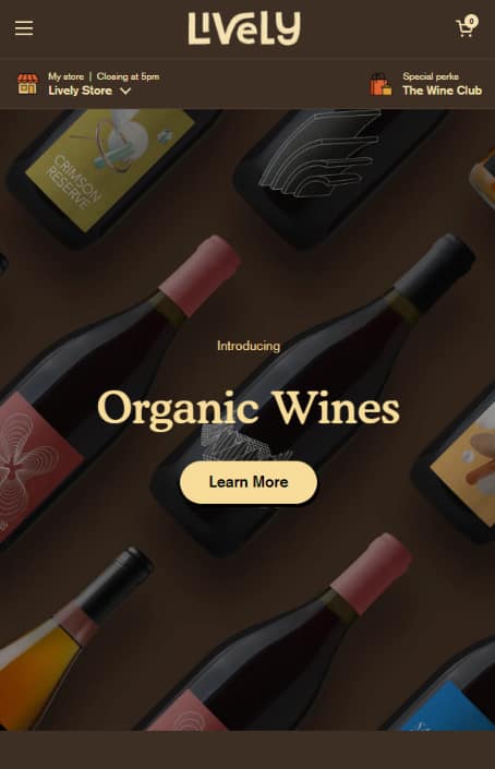 20+ Best and Nicest Shopify Themes: Convert Visitors Into Buyers