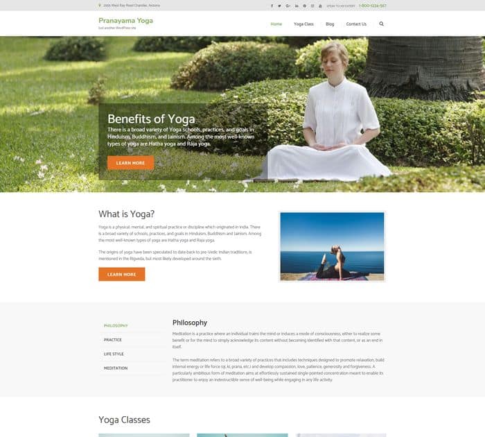 15+ Best Free Sports & Fitness WordPress Themes