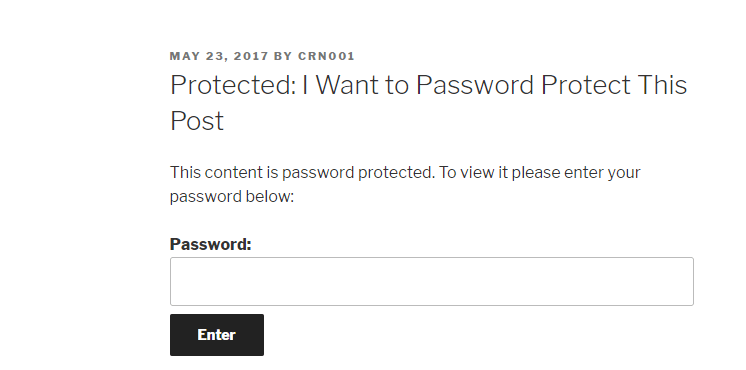 4 Different Ways to Password Protect WordPress
