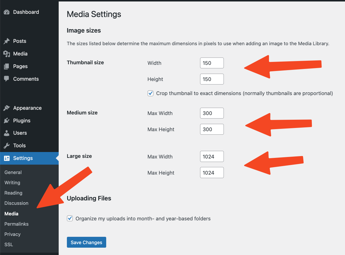 What Is Thumbnail Size in WordPress? What Is Thumbnail Size in WordPress?