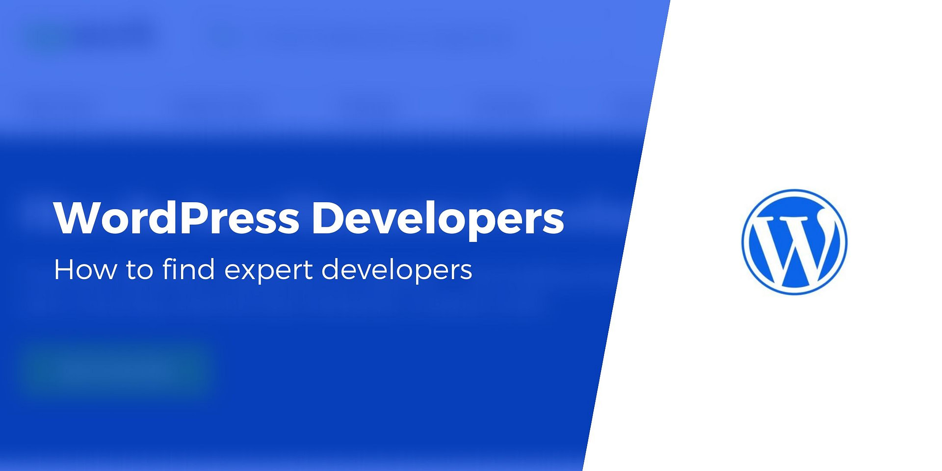 WordPress Developers: 6 Ways to Find Experts for Your Theme/Plugin