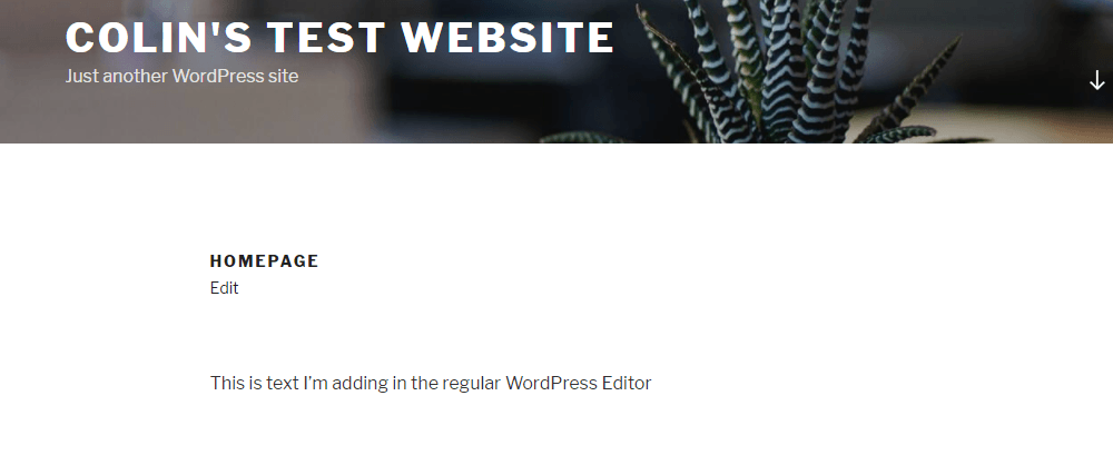 WordPress Static Homepage: How to Set it Up