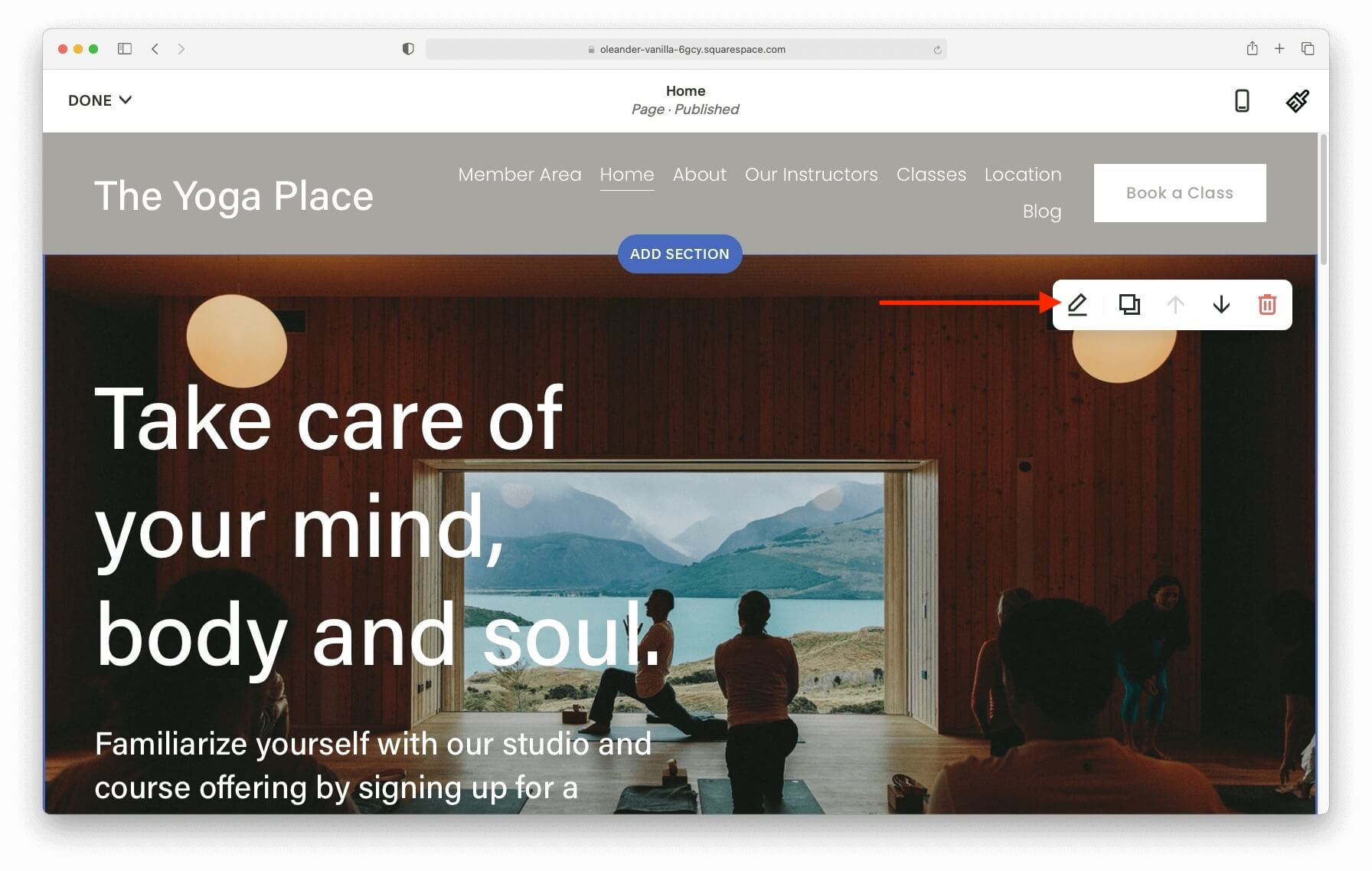 Squarespace Tutorial: A Step-by-Step Guide for Beginners