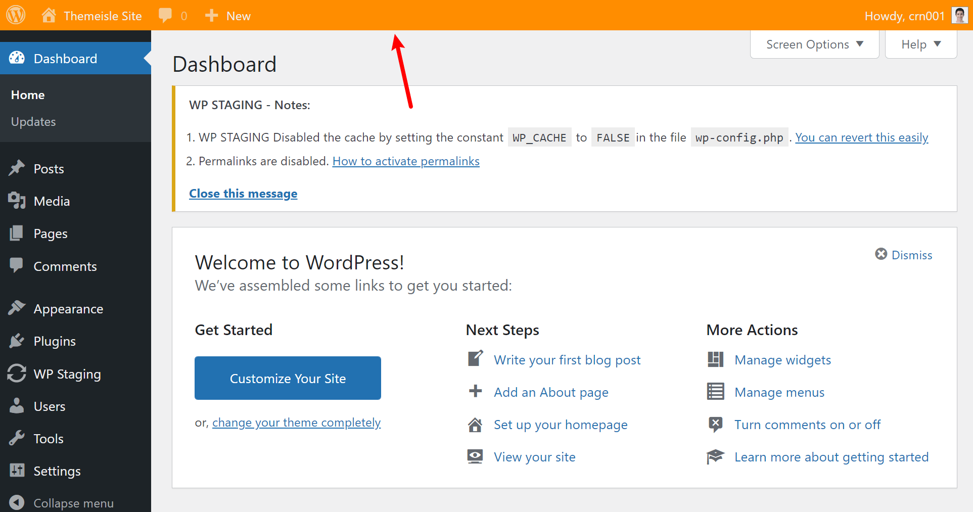 Beginner's Guide: How to Set Up a WordPress Staging Site
