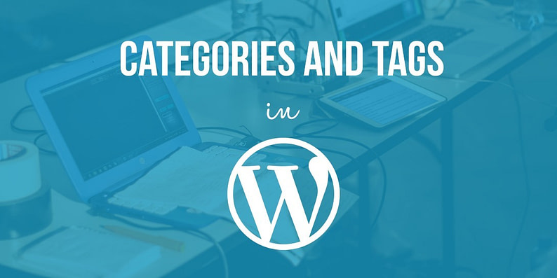 Categories And Tags In WordPress How To Use Them