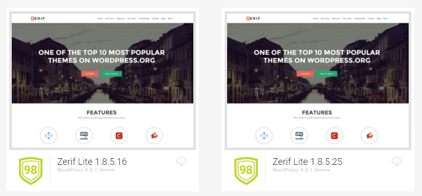 How to Make Sure You Pick a Secure WordPress Theme