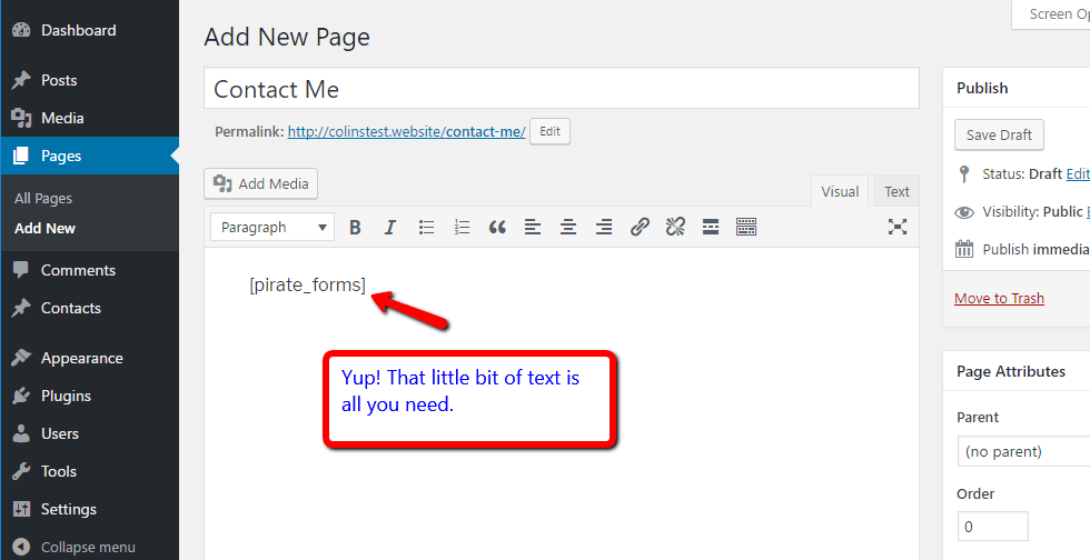 Beginner's Guide: How to Add a Contact Form to WordPress