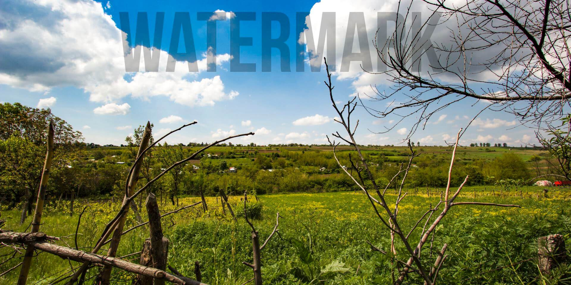 How to Watermark Images in WordPress Automatically