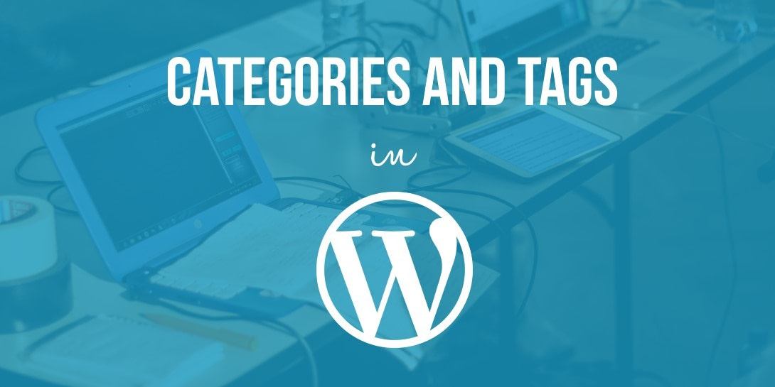 Categories and Tags in WordPress? How to Use Them