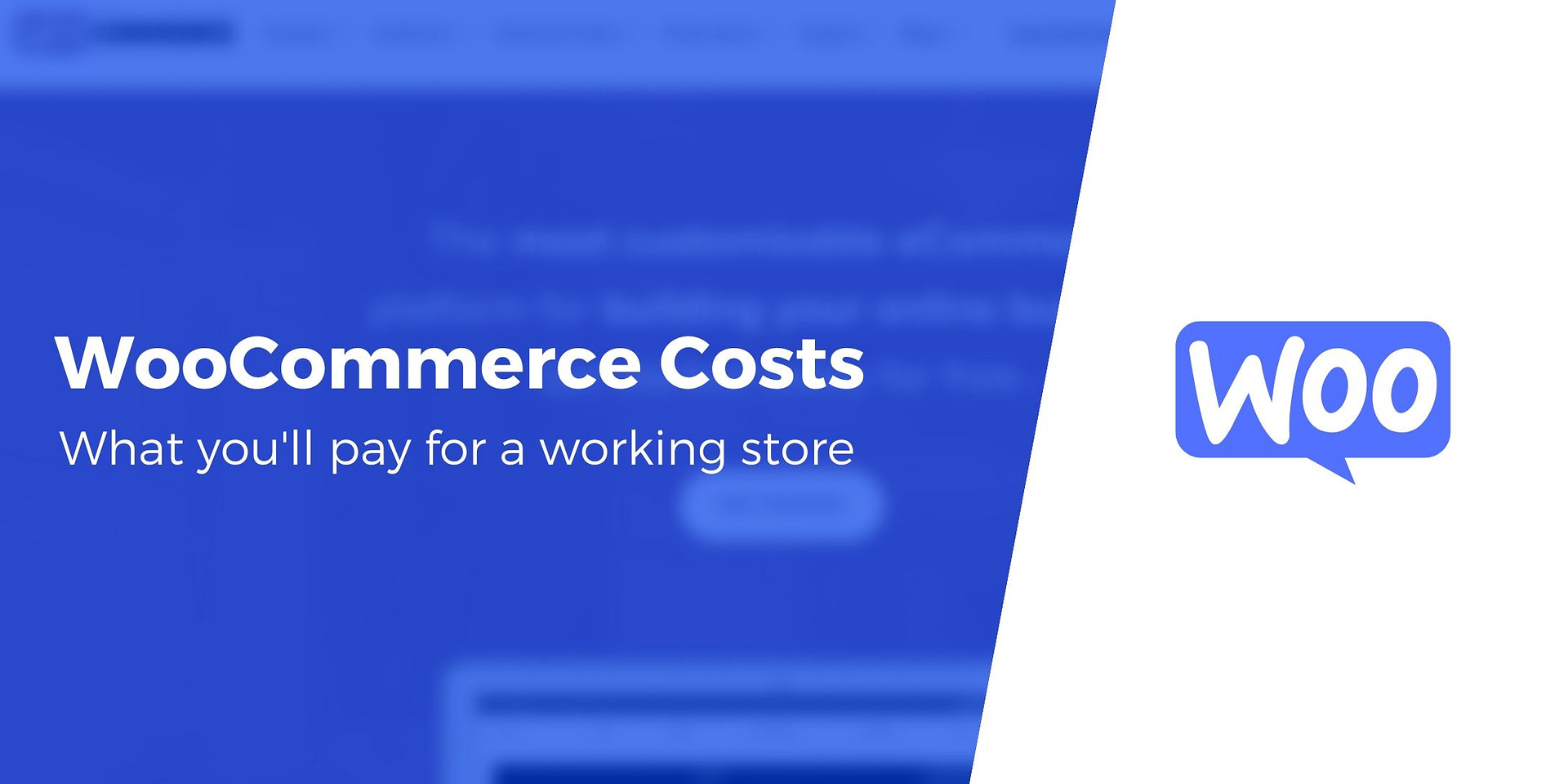 WooCommerce Pricing: What is the cost of an Online Store?