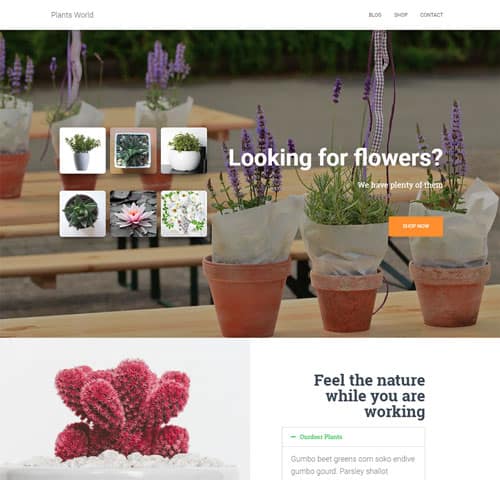 High-Performance WordPress Theme - Hestia